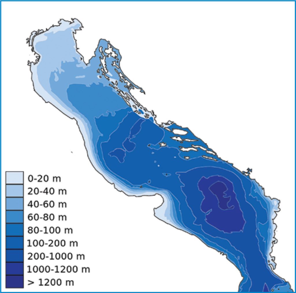 Raznolikost i raspored riba u Jadranu - SCUBAlife